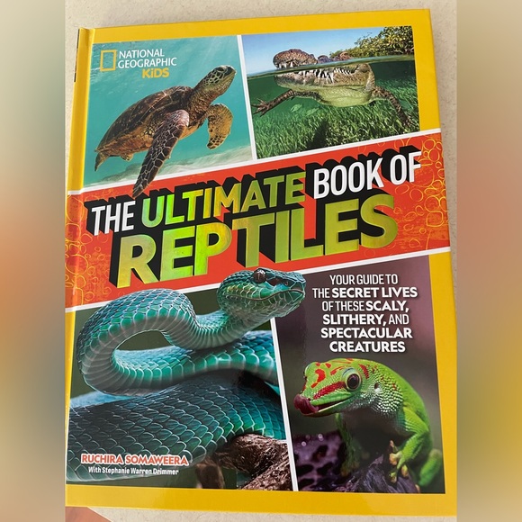 National Geographic | Toys | National Geographic Reptiles Hardcover ...